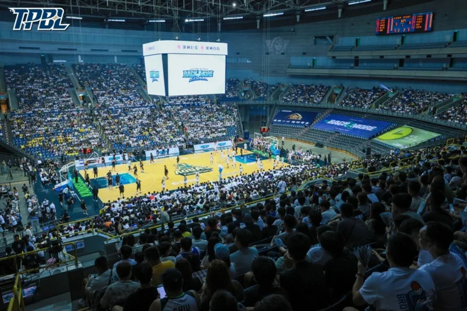 TPBL/ 連三場票房破萬 海神執行長：與球迷對話的回饋 | 籃球筆記