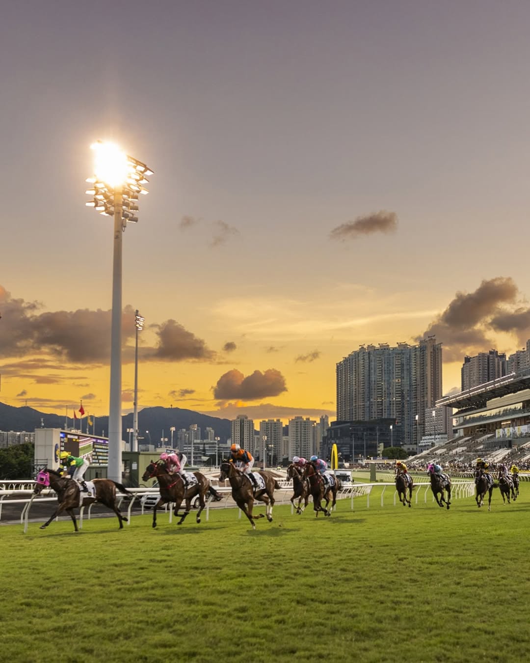 【本地體壇】2024/25 年度香港賽馬會冠軍人馬獎表揚一眾馬壇王者 ｜ 運動筆記HK | hk.running.biji.co