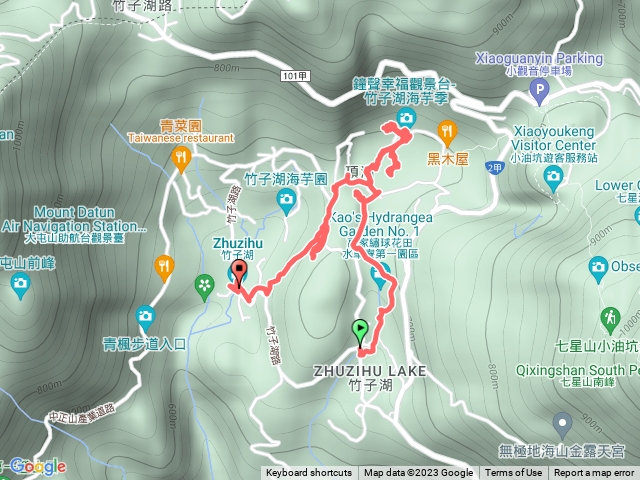 1120411竹子湖賞海芋 - 健行筆記