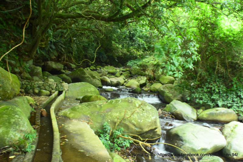 有些風景剛剛好就好 : 「大屯溪古道」的起點 : 2025 D0605 三芝「三板橋」 - 健行筆記